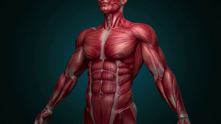 ‘Get Up and Live’ with Muscle Driver Infoceutical