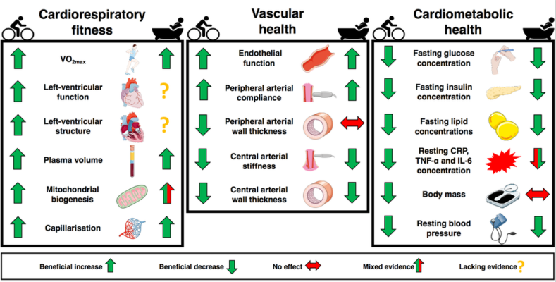 How a Hot Bath Delivers Some of The Same Effects as Exercise